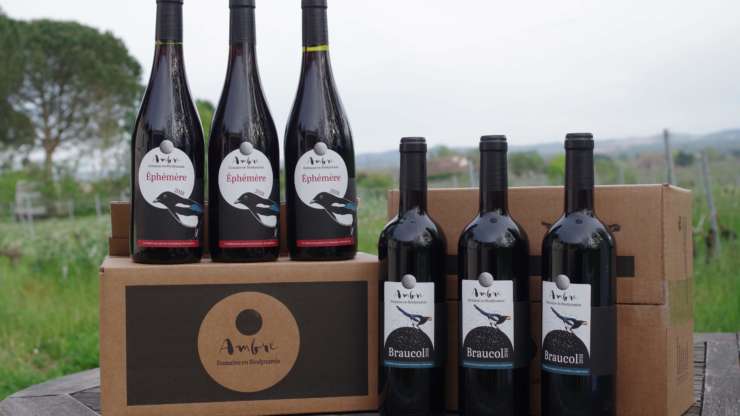 Accompagnement à la conception d'un univers de gamme de vins - IVRE de COM